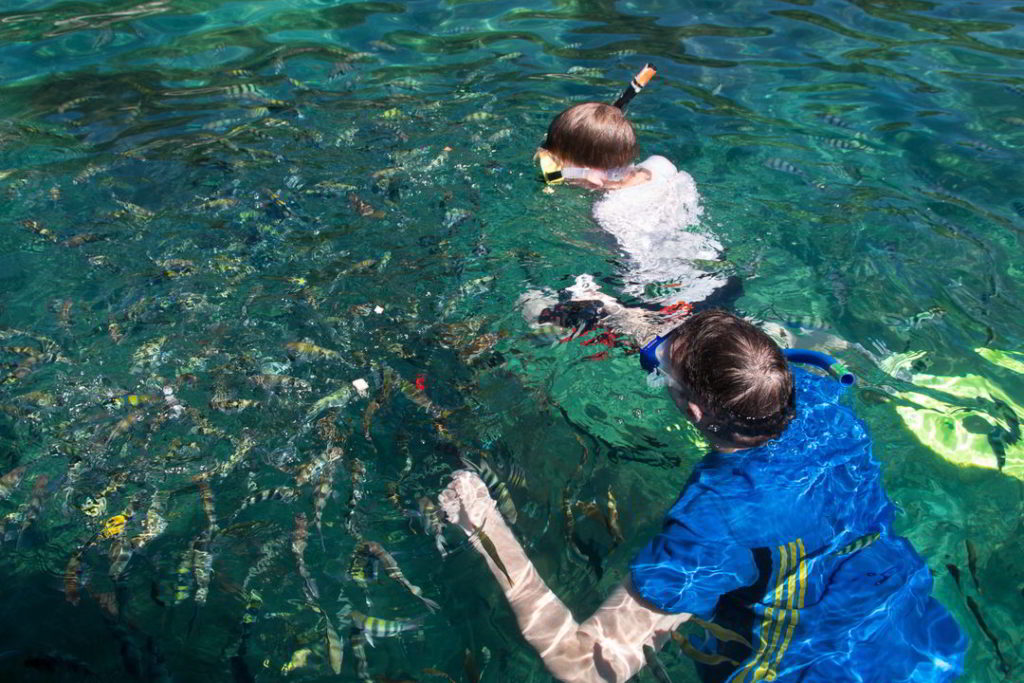 Traumhafter Boottrip nach Pulau Tulai zum Schnorcheln | Scenic-World