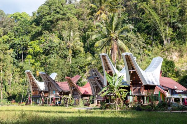 Die Felsengräber von Rantepao am Ende einer Trekkingtour | Scenic-World